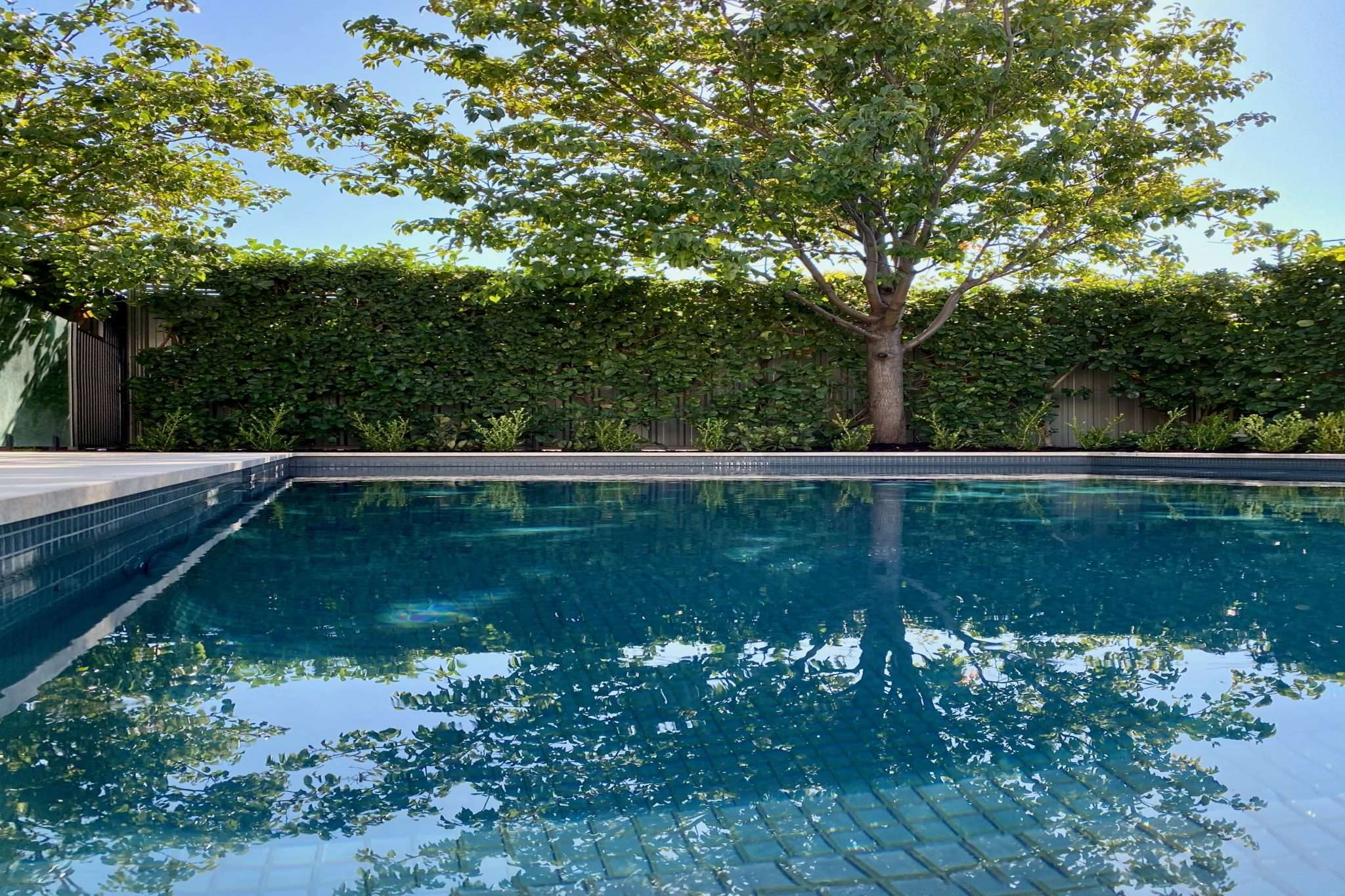 Plunge Pools Direct Finish | Villa Plunge Pools